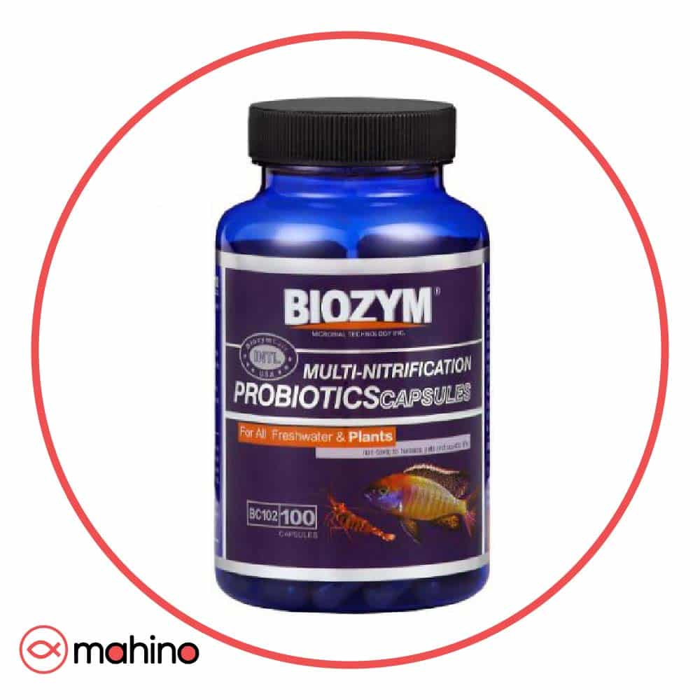کپسول باکتری ساز آکواریوم BC102 برند بایوزیم