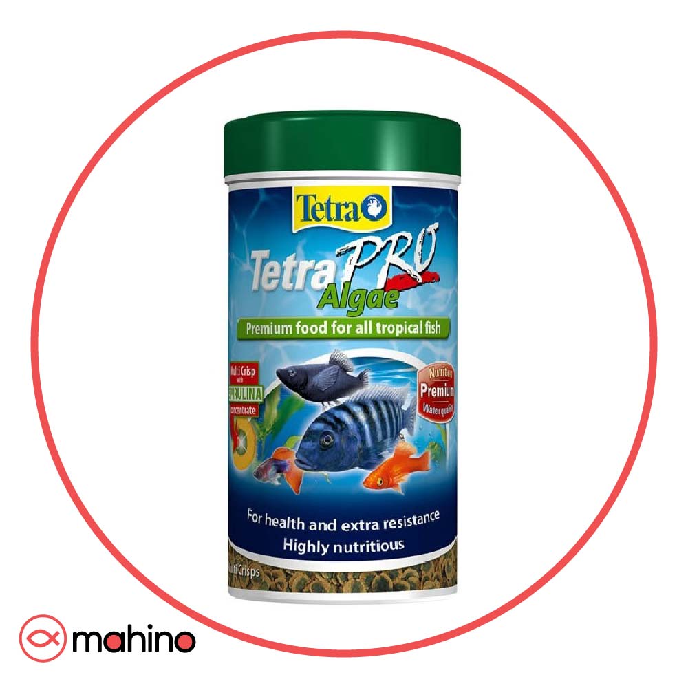 غذا ماهی تترا پرو آلجی تترا Tetra Pro Algae